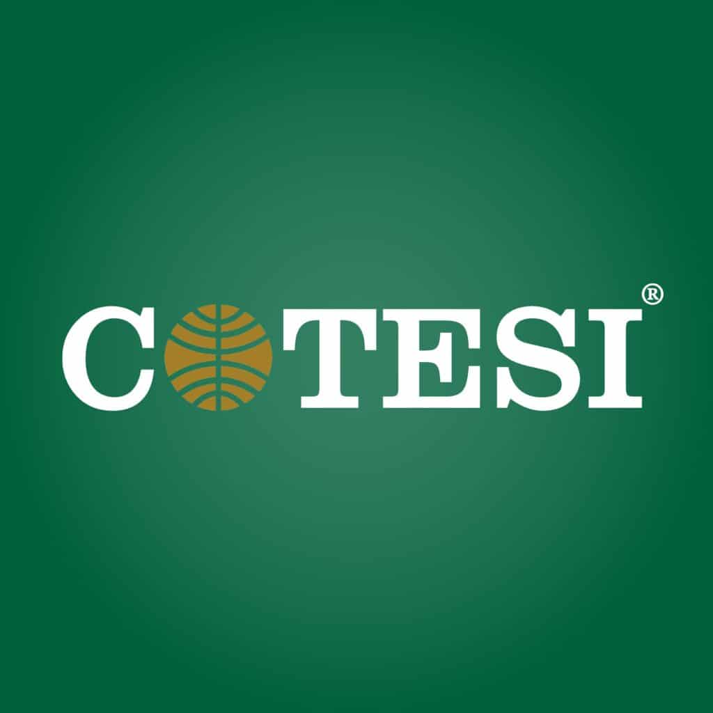 COTESI. Encontra aqui emprego | Talent Portugal